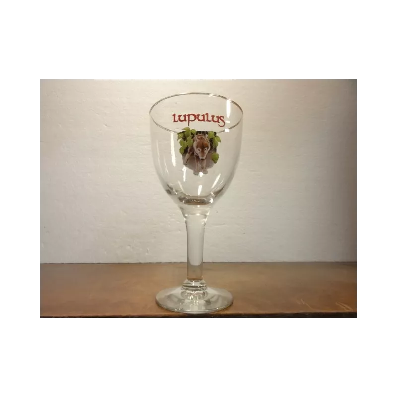 6 VERRES LUPULUS 25CL